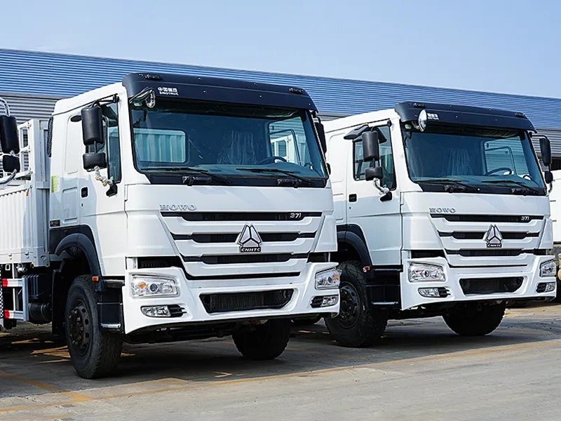 Used HOWO-7 6×4 Light Truck | Snail Truck